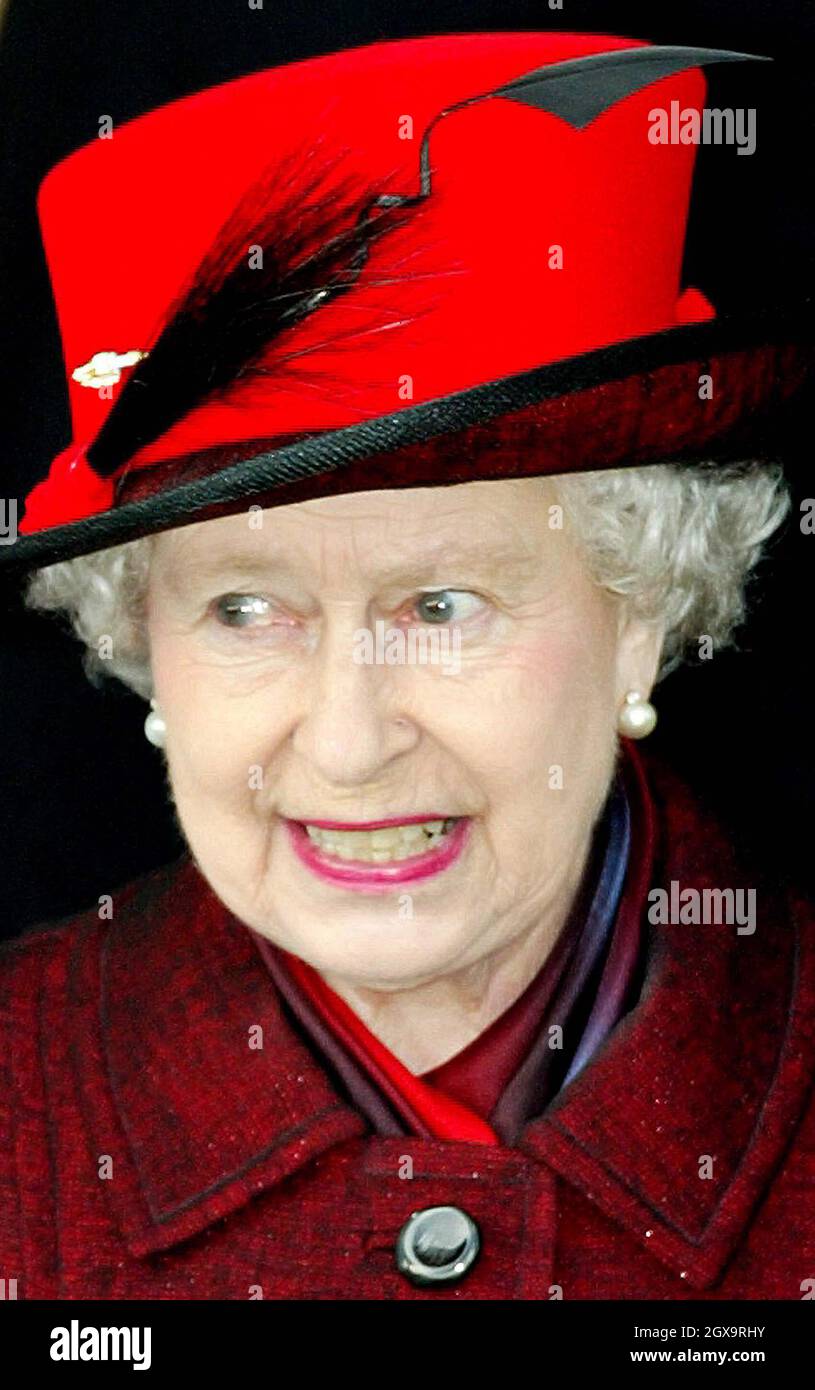 Elizabeth Knee's Instagram, Twitter & Facebook on IDCrawl