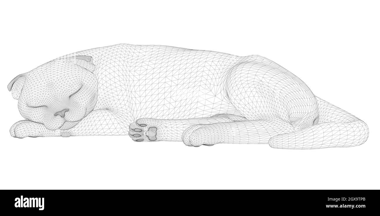 Wireframe of a sleeping cat from black lines isolated on a white ...