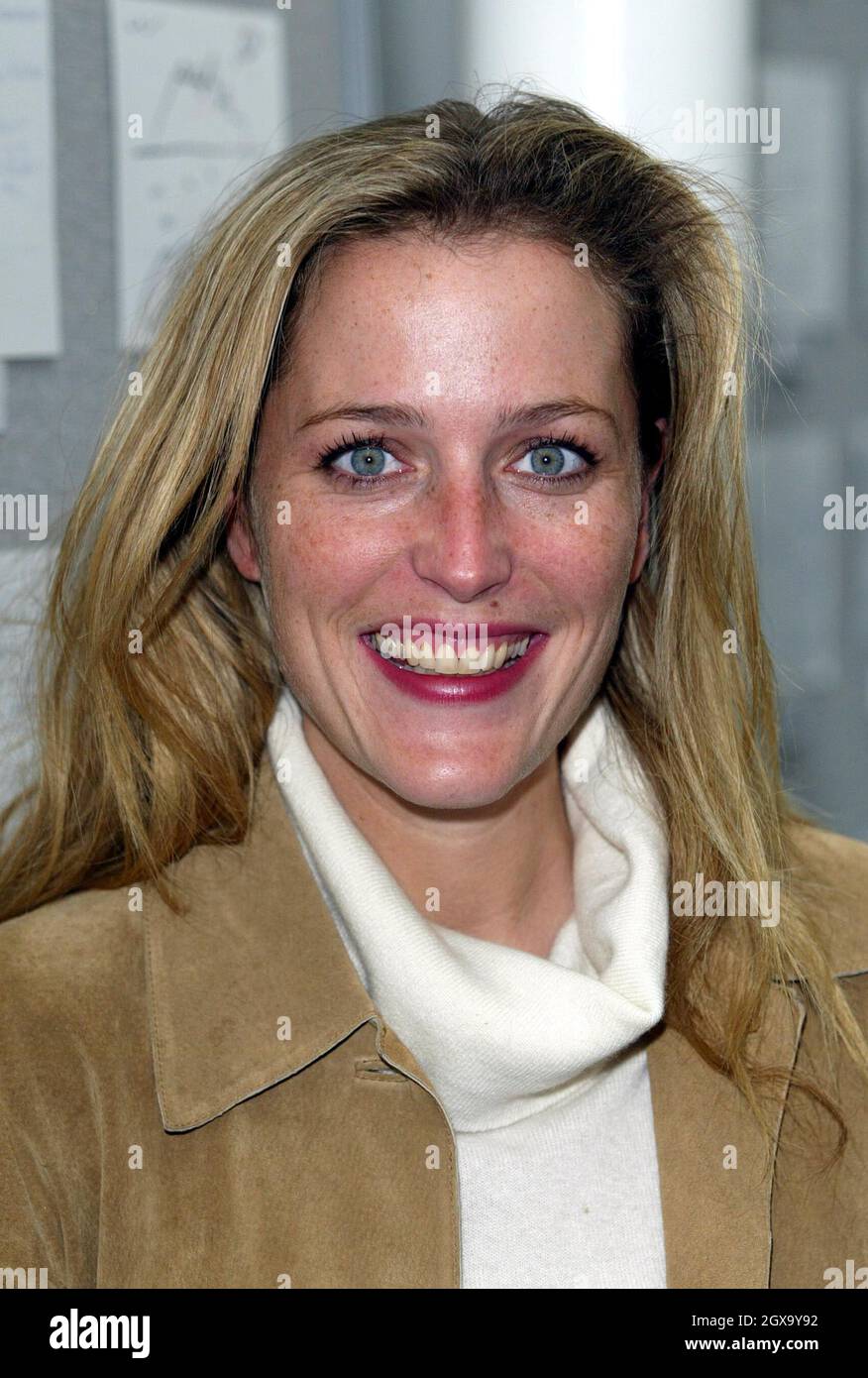 Gillian Anderson helps launch Nation Doodle Day in South London Stock ...