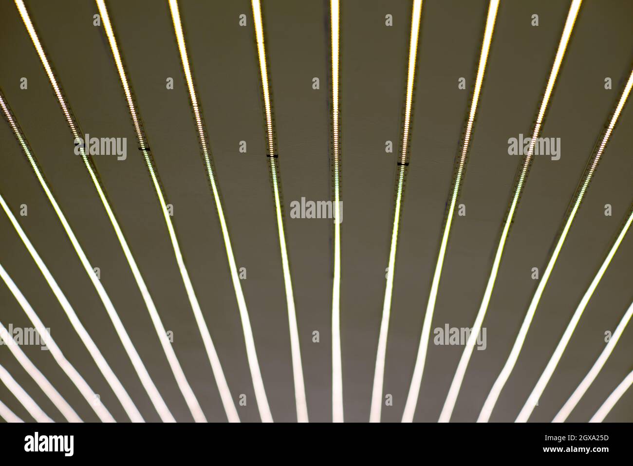 Diode strip.close up of led lights tape set on the ceiling at new ...