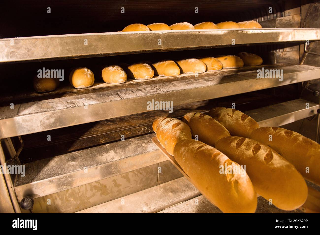 Bread bakery food factory production with fresh products Baked bread in ...