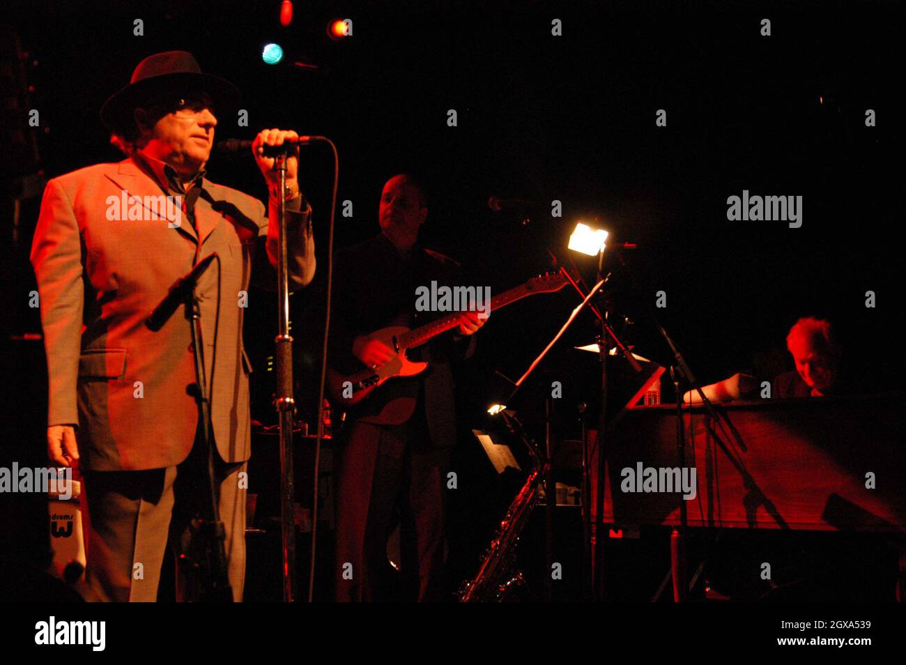 Van Morrison performing live at the Irving Plaza Stock Photo - Alamy
