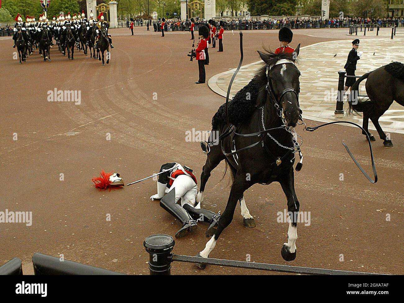 One of the Queen's Guard is thrown from his horse in front of ...