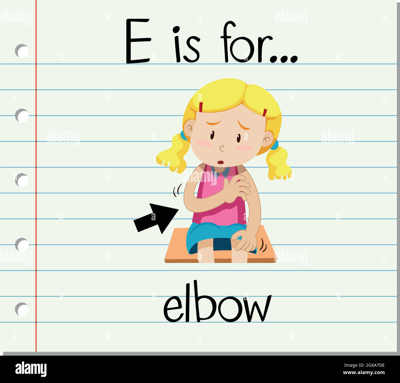 E anatomy hi-res stock photography and images - Alamy