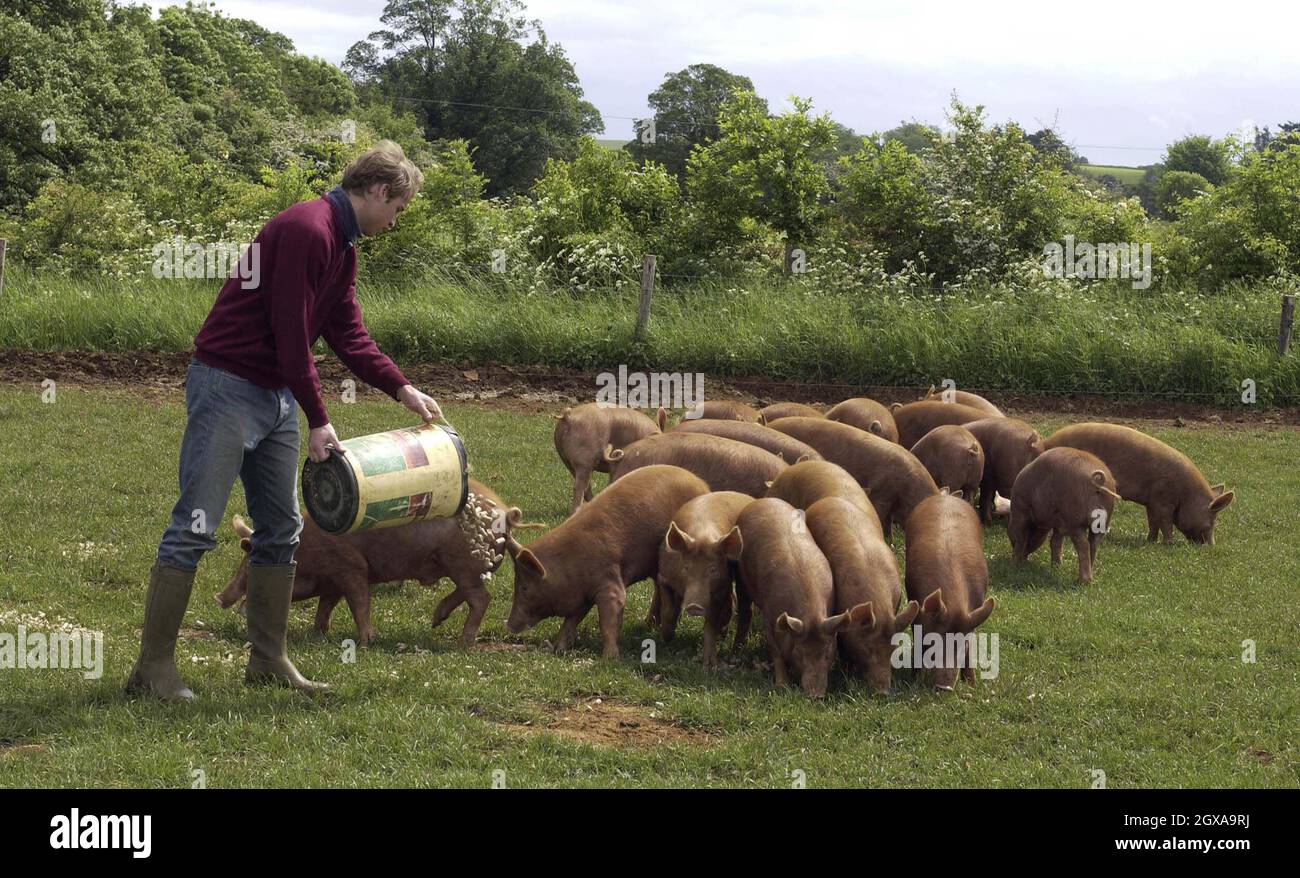 DUCHY HOME FARM, GLOUCESTERSHIRE, ENGLAND - MAY 29: HRH Prince William ...