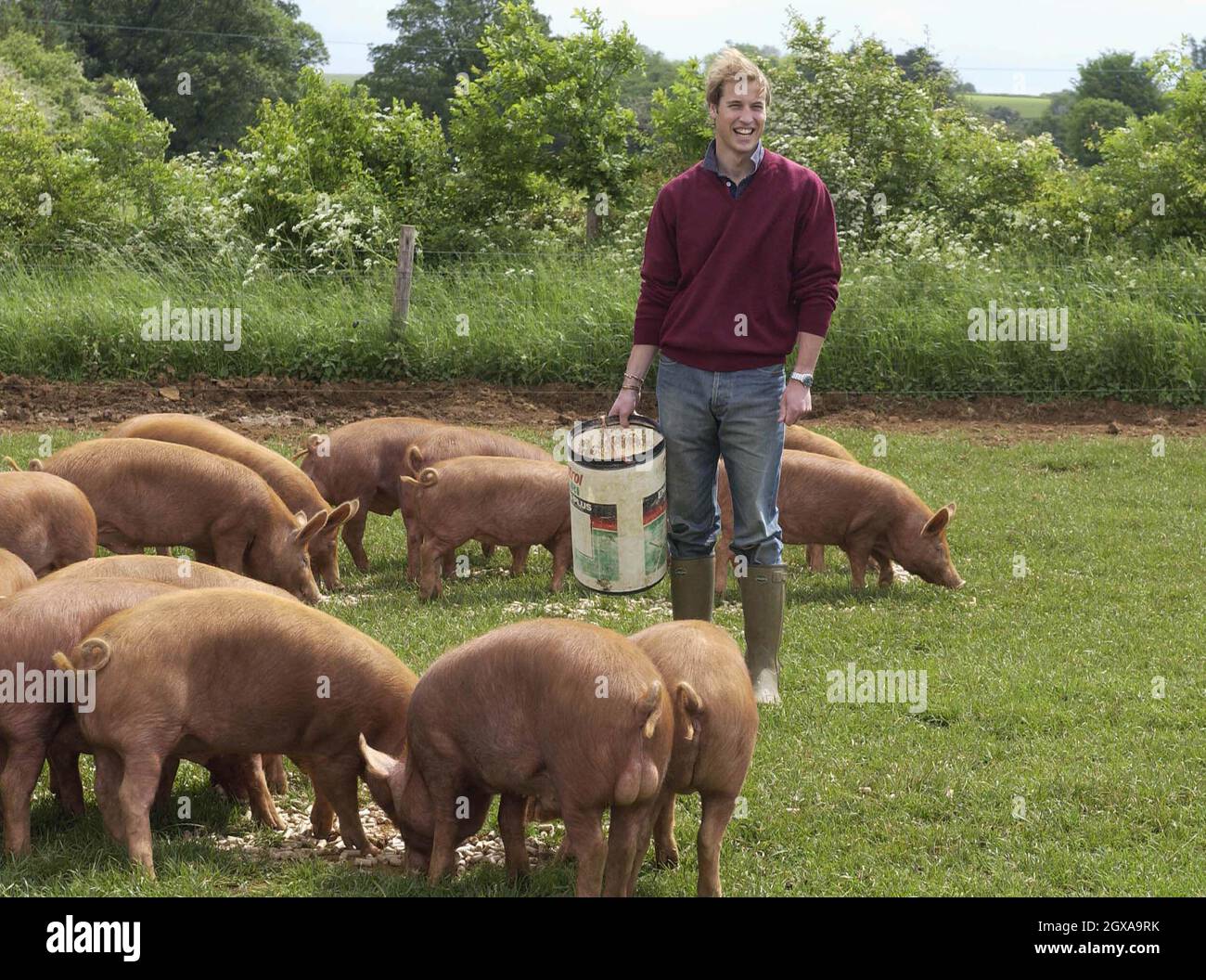 DUCHY HOME FARM, GLOUCESTERSHIRE, ENGLAND - MAY 29: HRH Prince William ...