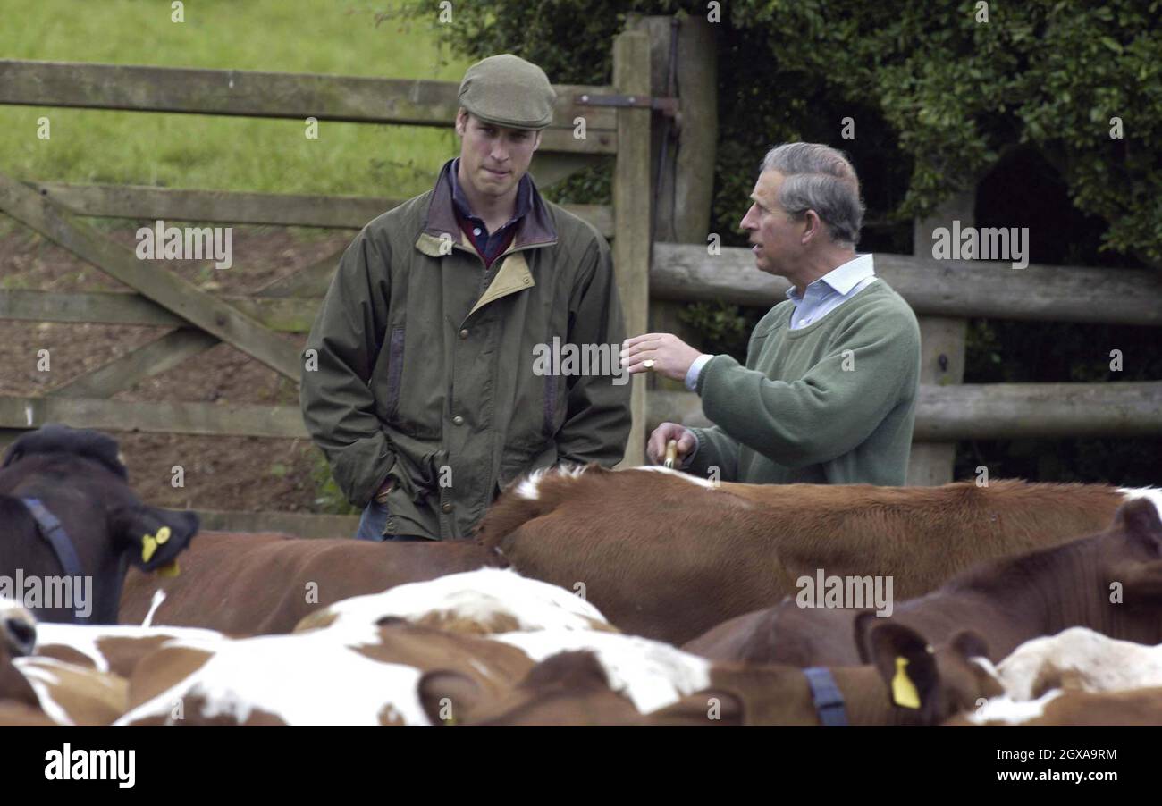 DUCHY HOME FARM, GLOUCESTERSHIRE, ENGLAND - MAY 29: HRH Prince William ...