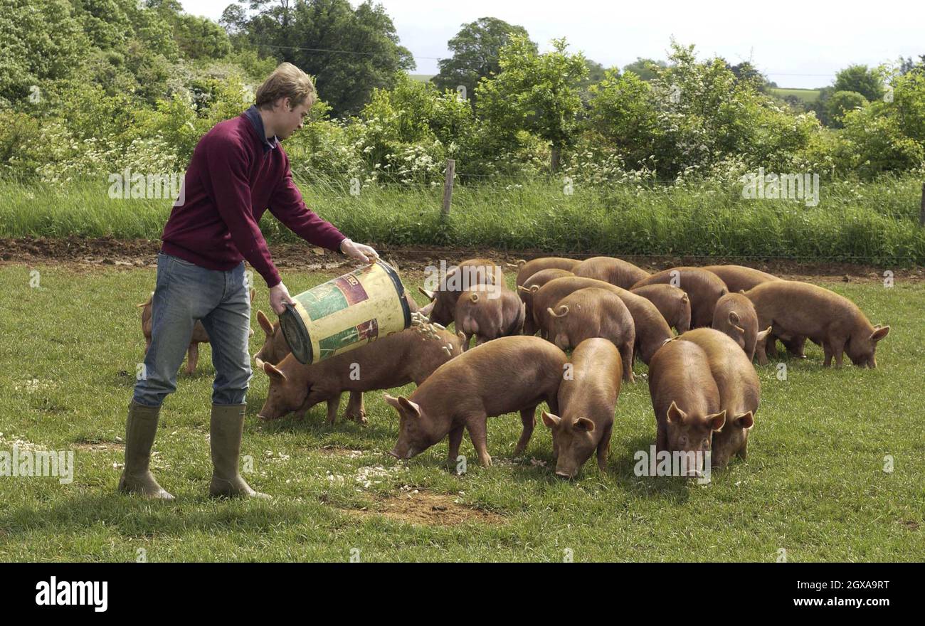 DUCHY HOME FARM, GLOUCESTERSHIRE, ENGLAND - MAY 29: HRH Prince William ...
