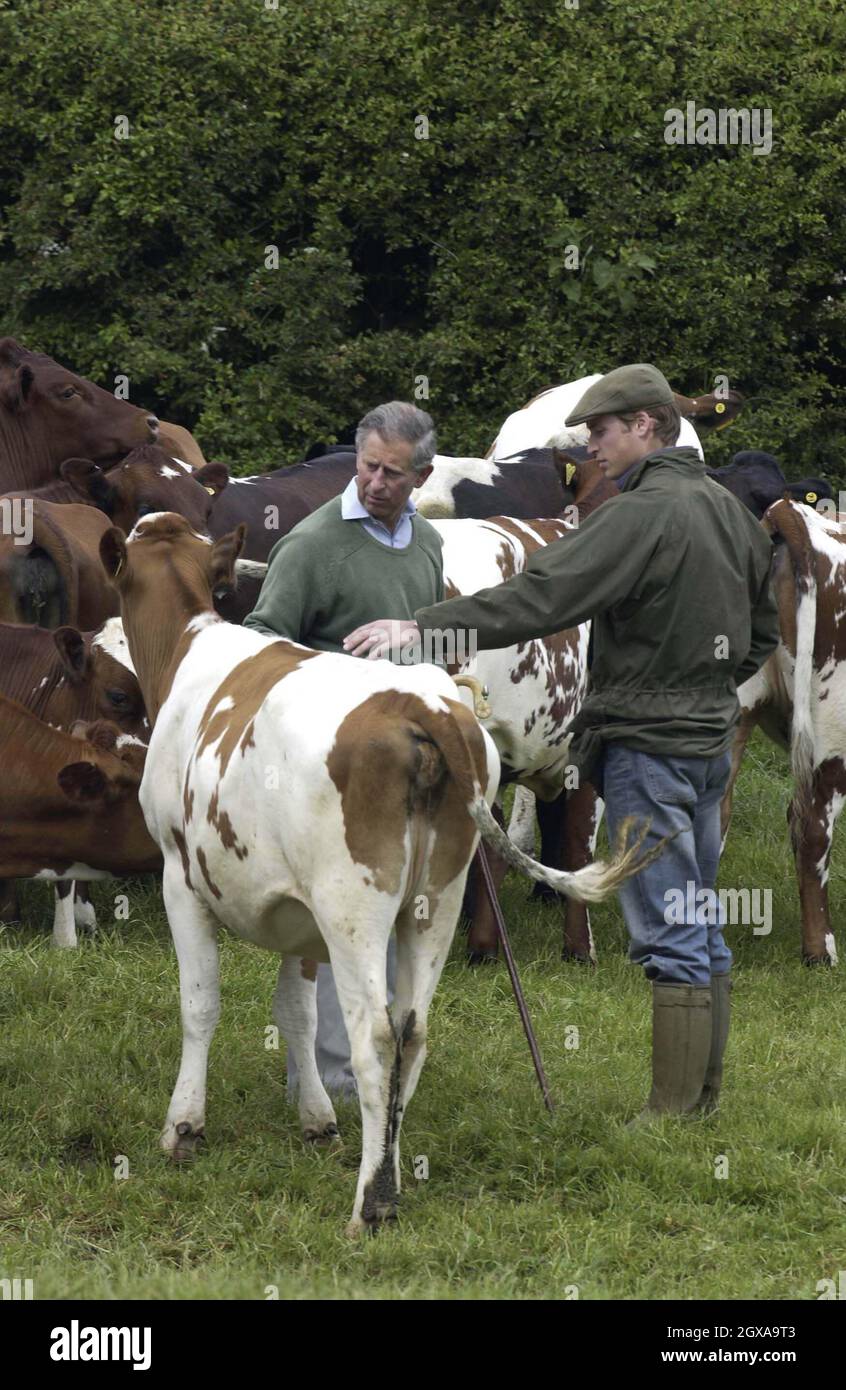DUCHY HOME FARM, GLOUCESTERSHIRE, ENGLAND - MAY 29: HRH Prince William ...