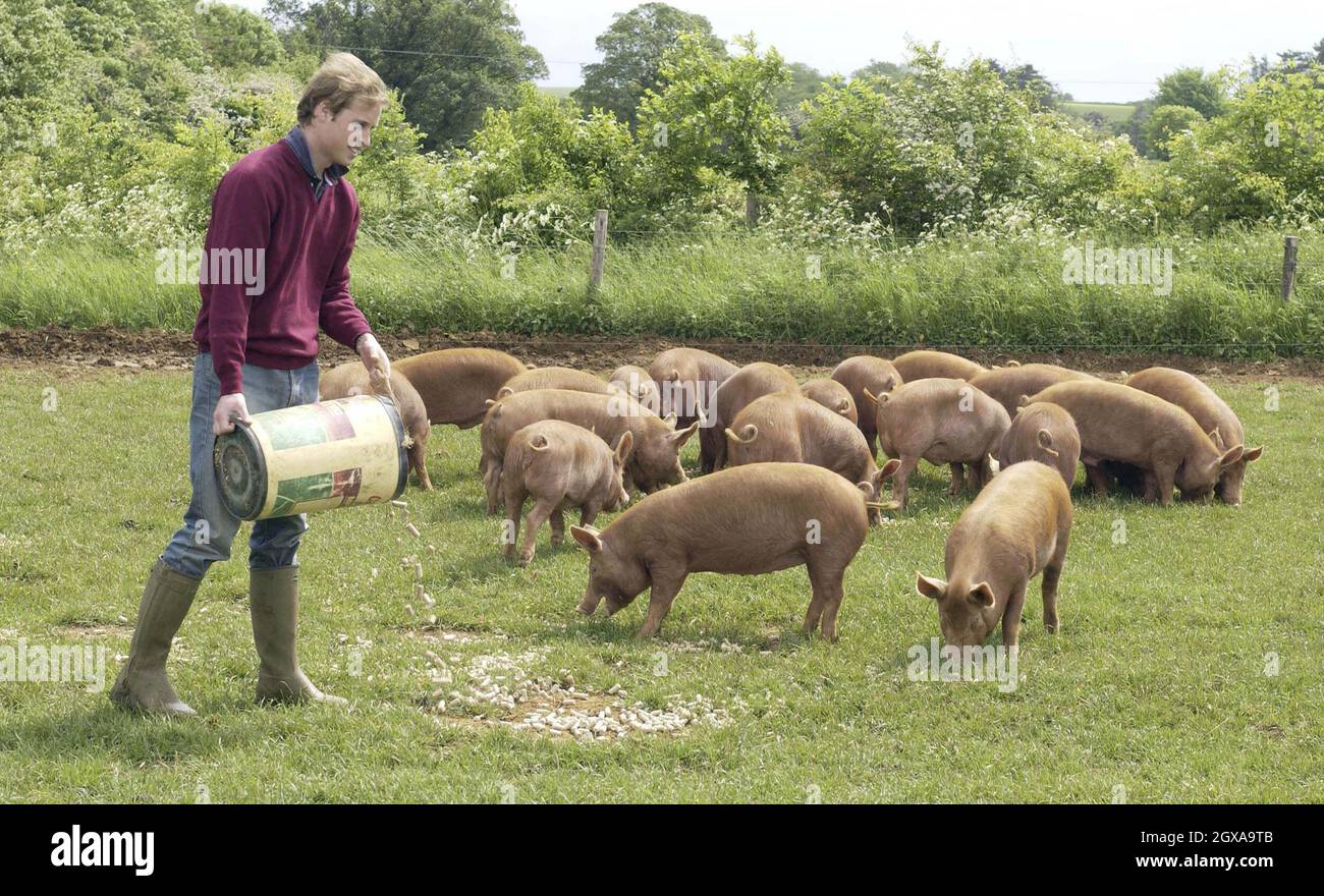 Duchy home farm in tetbury hi-res stock photography and images - Alamy