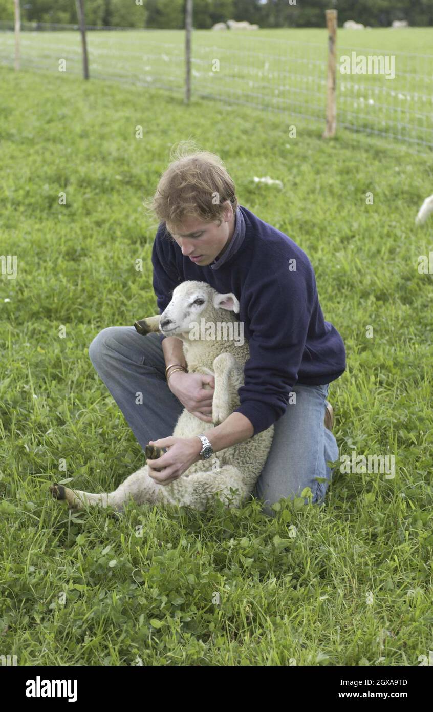 DUCHY HOME FARM, GLOUCESTERSHIRE, ENGLAND - MAY 29: HRH Prince William ...