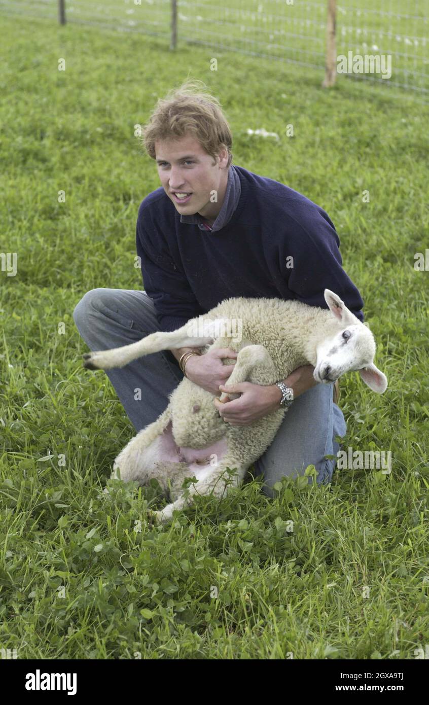 DUCHY HOME FARM, GLOUCESTERSHIRE, ENGLAND - MAY 29: HRH Prince William ...