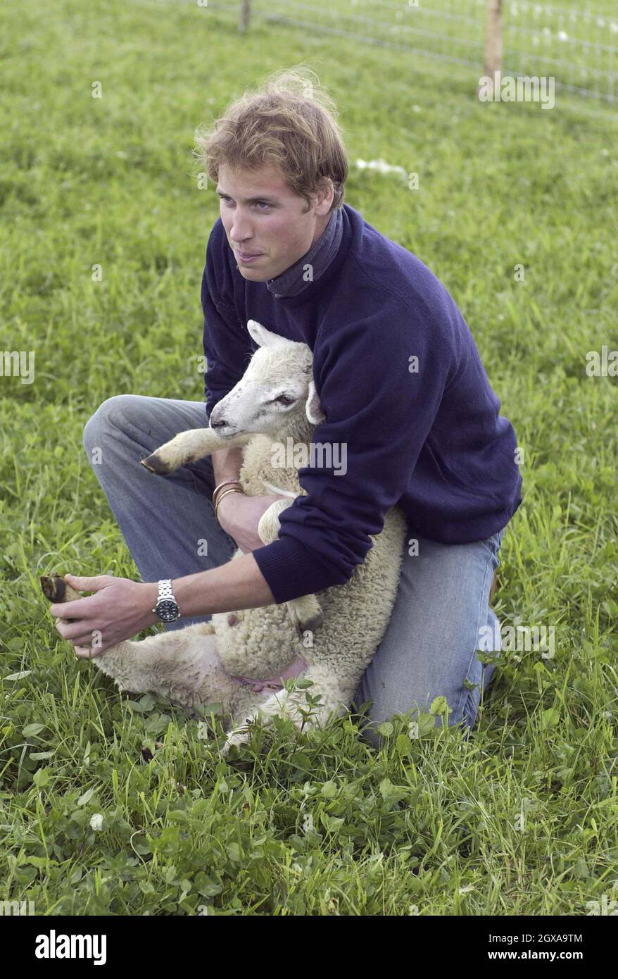 DUCHY HOME FARM, GLOUCESTERSHIRE, ENGLAND - MAY 29: HRH Prince William ...