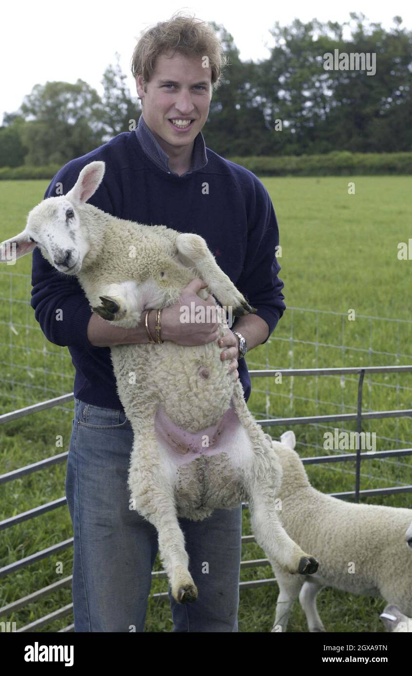 DUCHY HOME FARM, GLOUCESTERSHIRE, ENGLAND - MAY 29: HRH Prince William ...