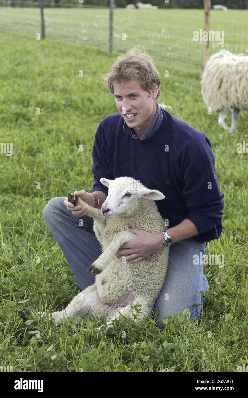 DUCHY HOME FARM, GLOUCESTERSHIRE, ENGLAND - MAY 29: HRH Prince William ...