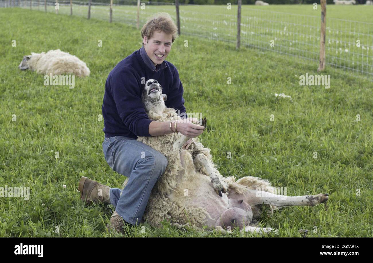 Duchy home farm in tetbury hi-res stock photography and images - Alamy