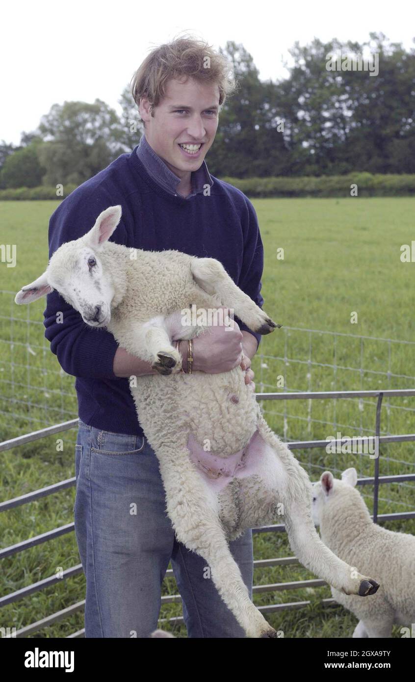 DUCHY HOME FARM, GLOUCESTERSHIRE, ENGLAND - MAY 29: HRH Prince William ...