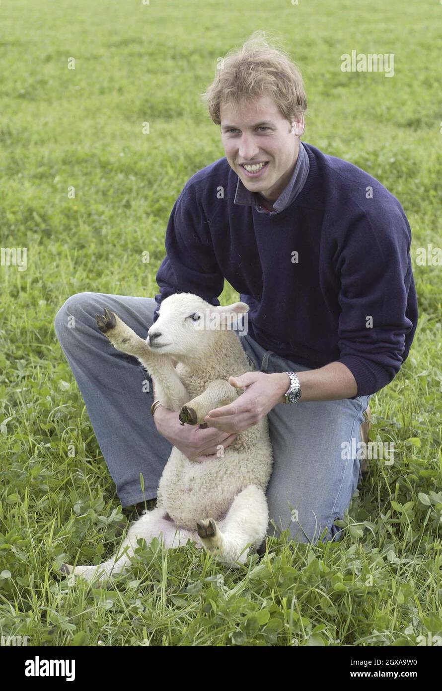 DUCHY HOME FARM, GLOUCESTERSHIRE, ENGLAND - MAY 29: HRH Prince William ...