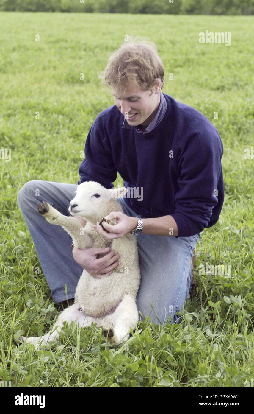 DUCHY HOME FARM, GLOUCESTERSHIRE, ENGLAND - MAY 29: HRH Prince William ...