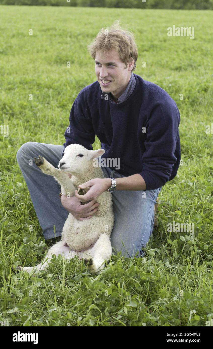 DUCHY HOME FARM, GLOUCESTERSHIRE, ENGLAND - MAY 29: HRH Prince William ...