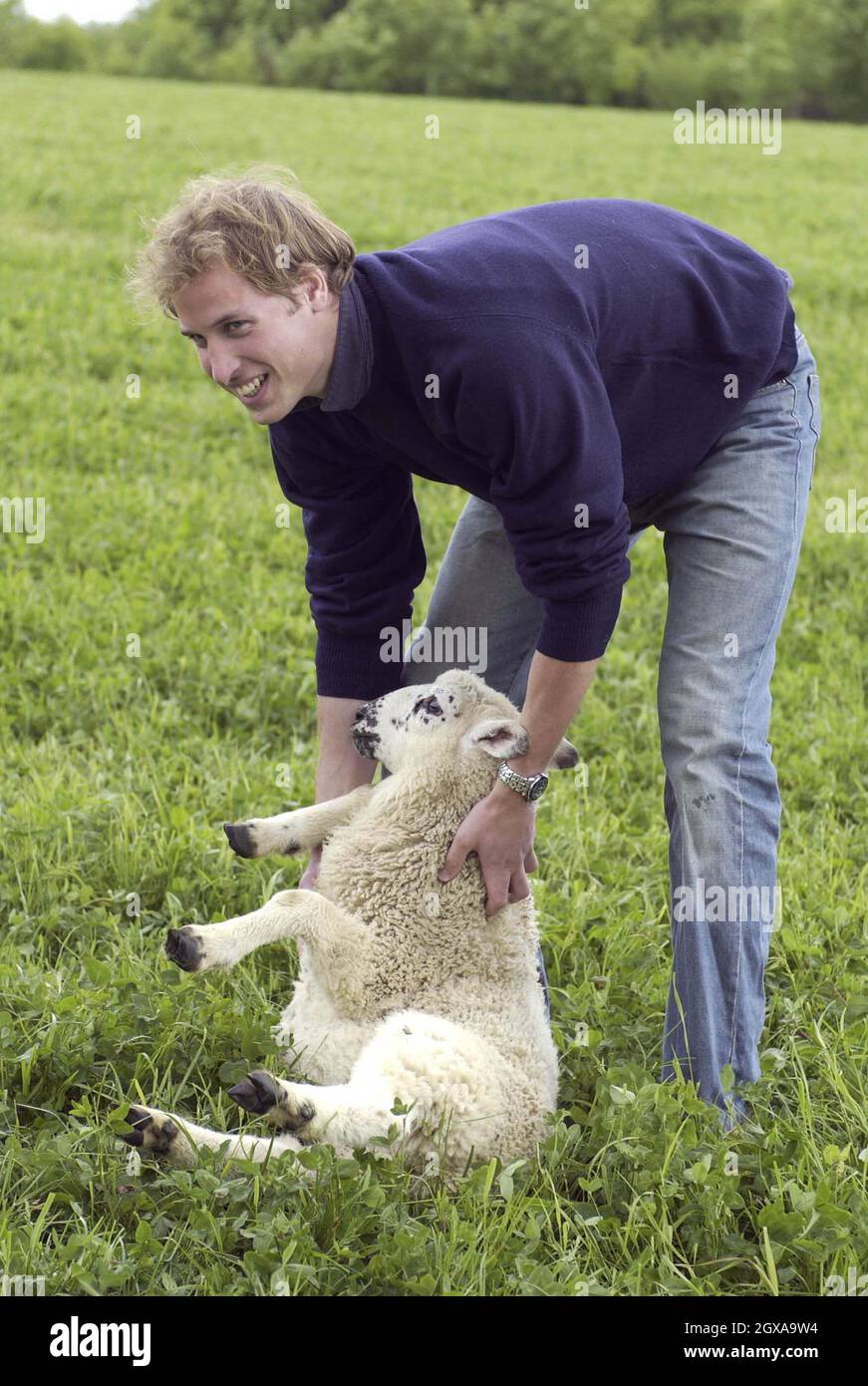 DUCHY HOME FARM, GLOUCESTERSHIRE, ENGLAND - MAY 29: HRH Prince William ...