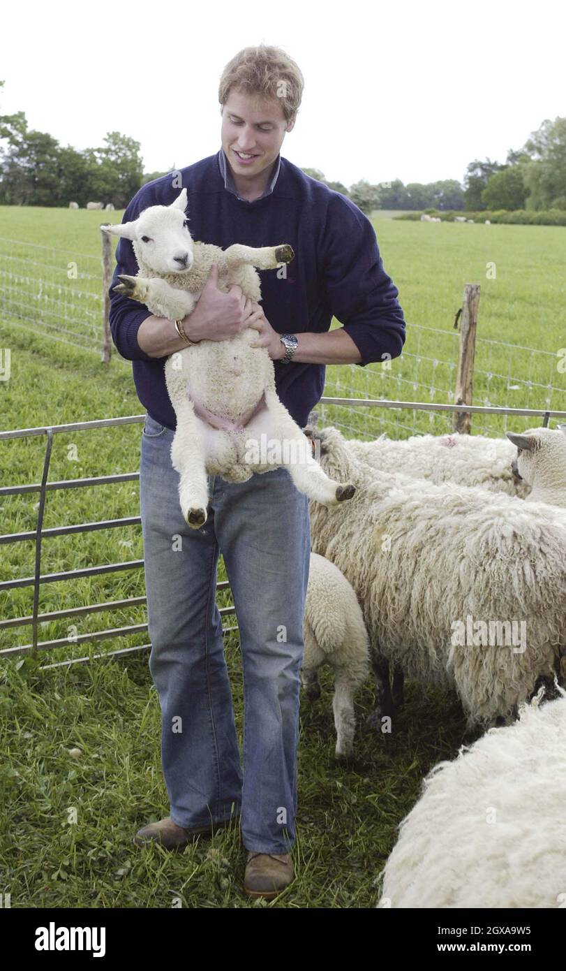 DUCHY HOME FARM, GLOUCESTERSHIRE, ENGLAND - MAY 29: HRH Prince William ...