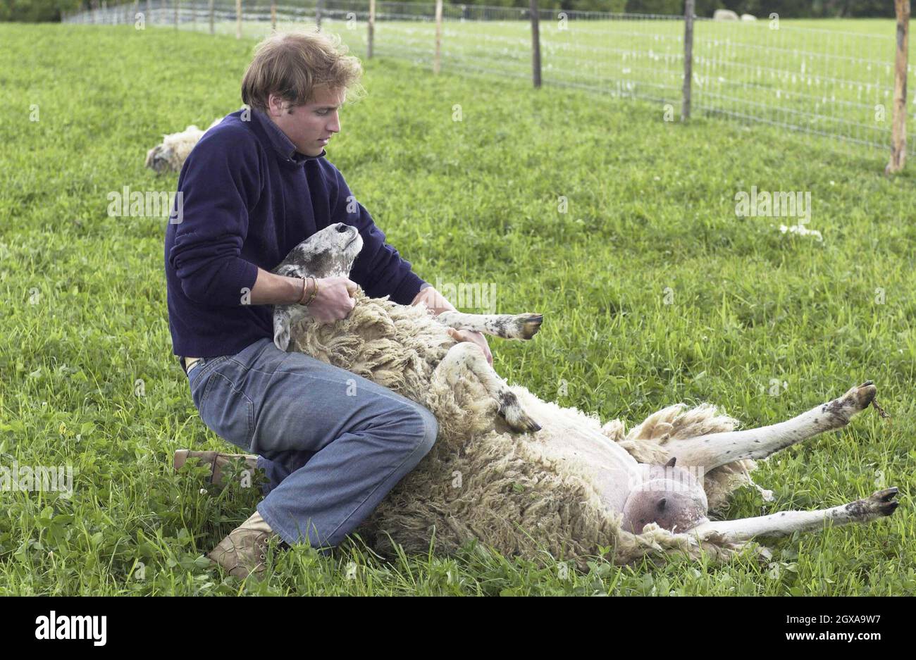 DUCHY HOME FARM, GLOUCESTERSHIRE, ENGLAND - MAY 29: HRH Prince William ...