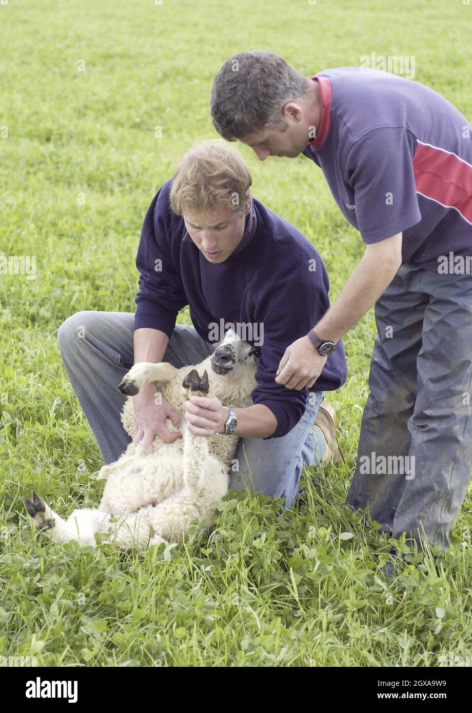 DUCHY HOME FARM, GLOUCESTERSHIRE, ENGLAND - MAY 29: HRH Prince William ...