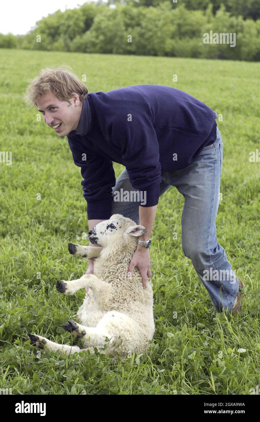 Duchy home farm in tetbury hi-res stock photography and images - Alamy