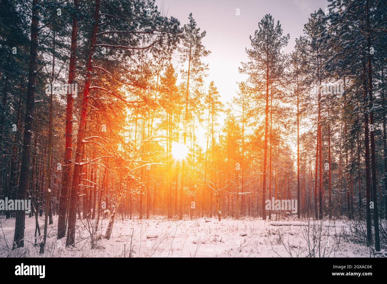 In the beautiful winter sunshine hi-res stock photography and images ...