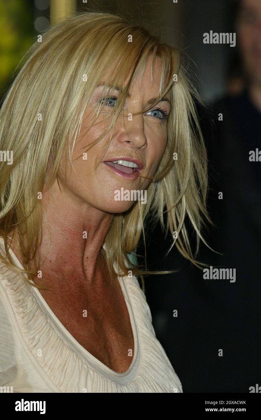 Meg Mathews attending the UK film premiere of Shrek 2 in Leicester ...