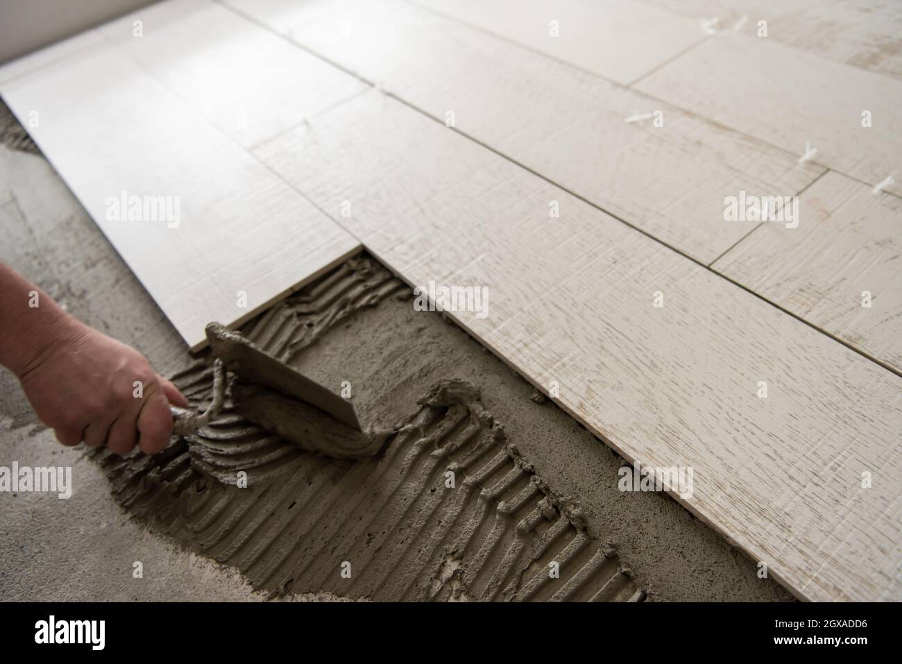 skilled worker installing the ceramic wood effect tiles on the floor ...