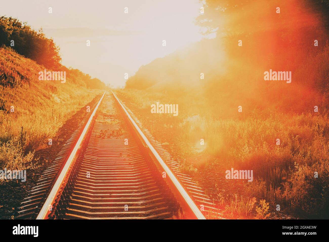 Straight ahead hi-res stock photography and images - Alamy