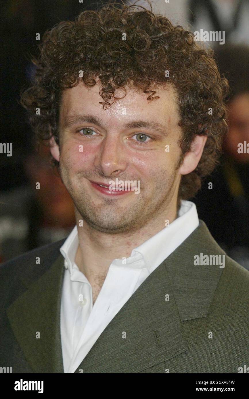 Michael Sheen attending the European film premiere of King Arthur at ...