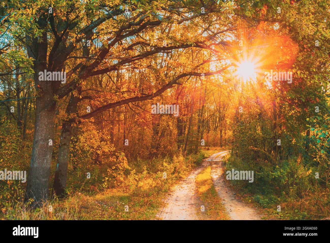 Sunlight on pathway hi-res stock photography and images - Alamy