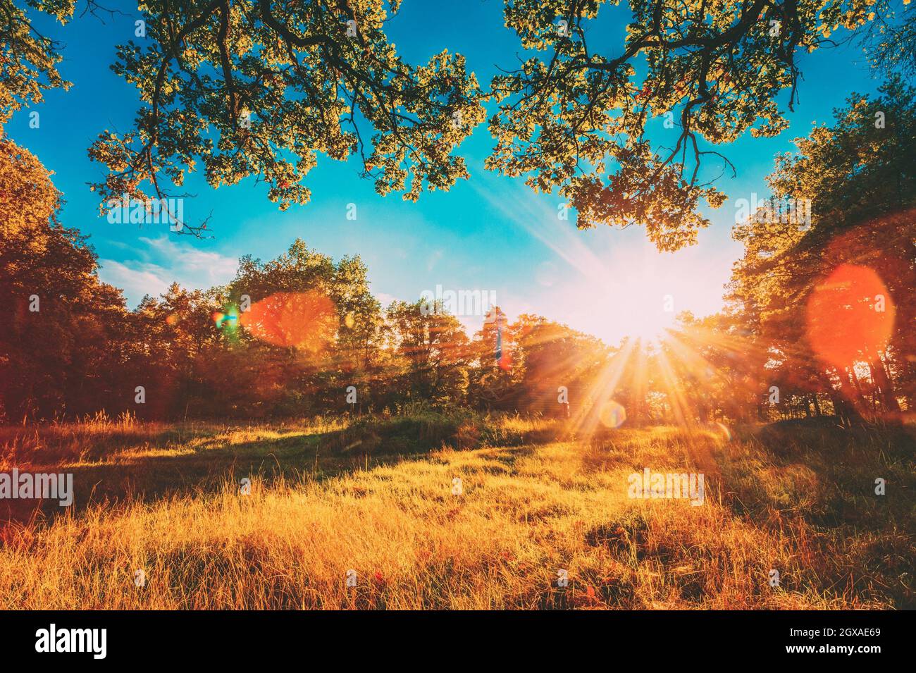 Lens flare effect hi-res stock photography and images - Alamy