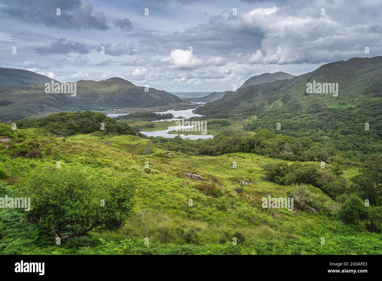 Patches of sunlight illuminating trees, meadows and mountains on Irish ...