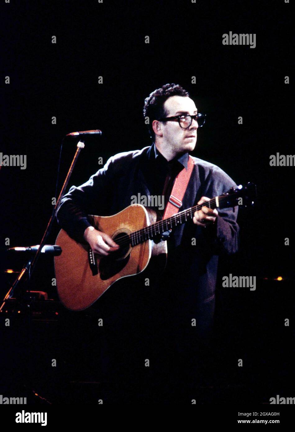 Elvis Costello performing live in concert in 1987 Stock Photo - Alamy