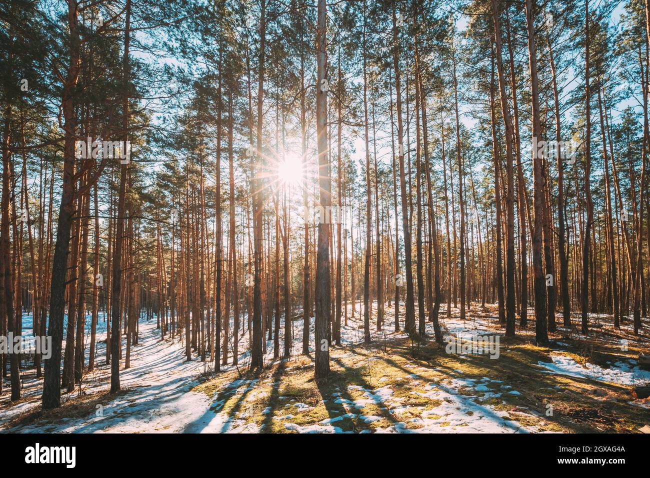 Spring sunshine shadow hi-res stock photography and images - Alamy