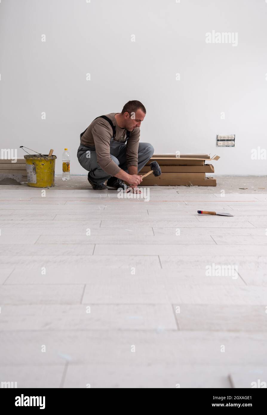 skilled worker installing the ceramic wood effect tiles on the floor ...