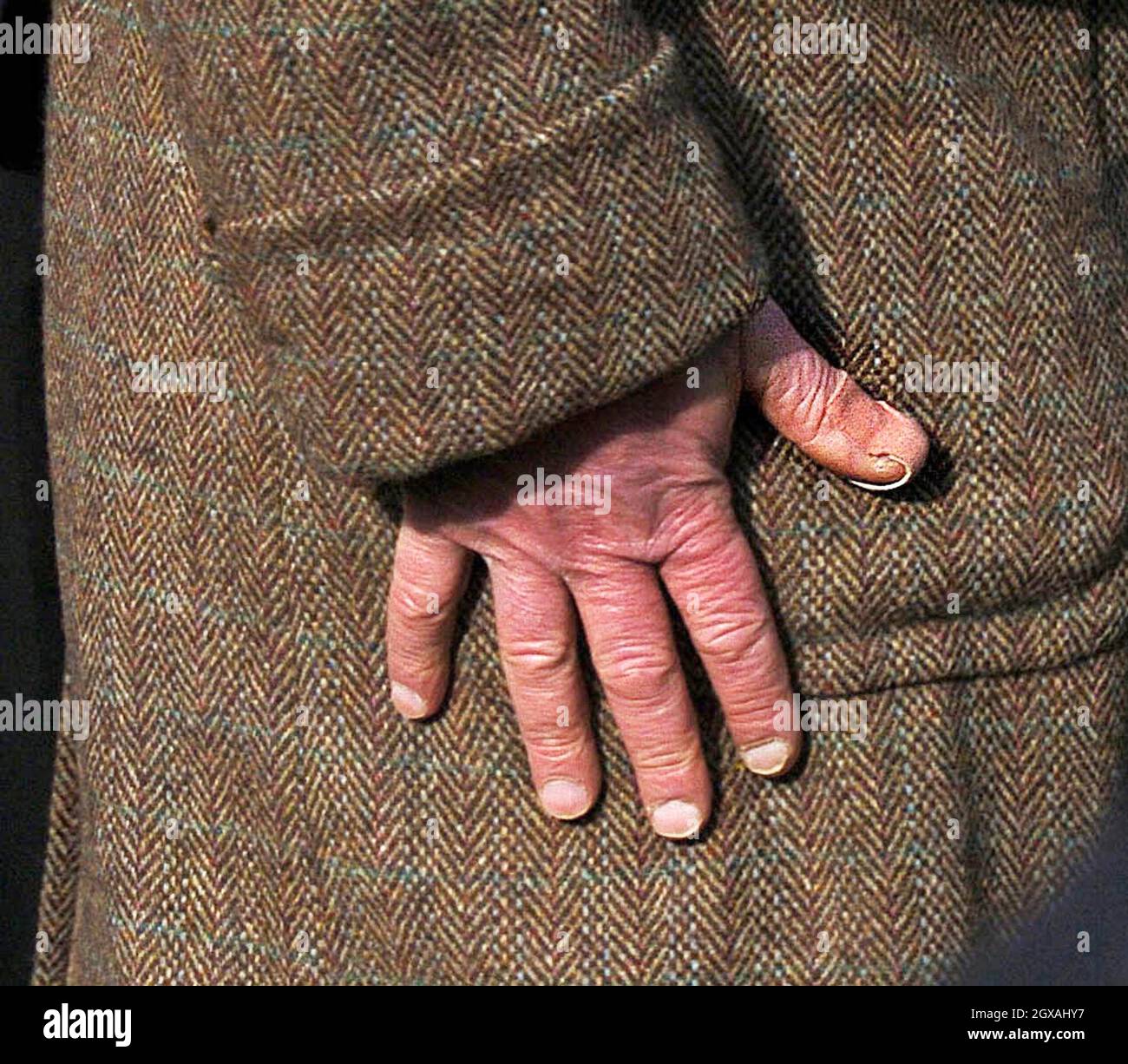 Prince charles with a plaster on his thumb hi-res stock photography and ...
