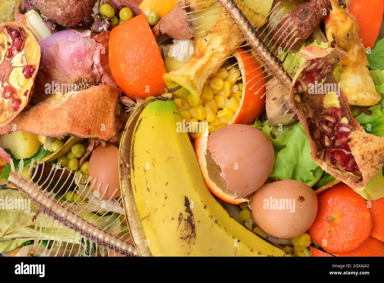 Composting fruits hi-res stock photography and images - Alamy