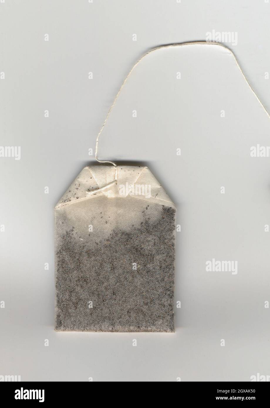 Tea bag tree hi-res stock photography and images - Alamy