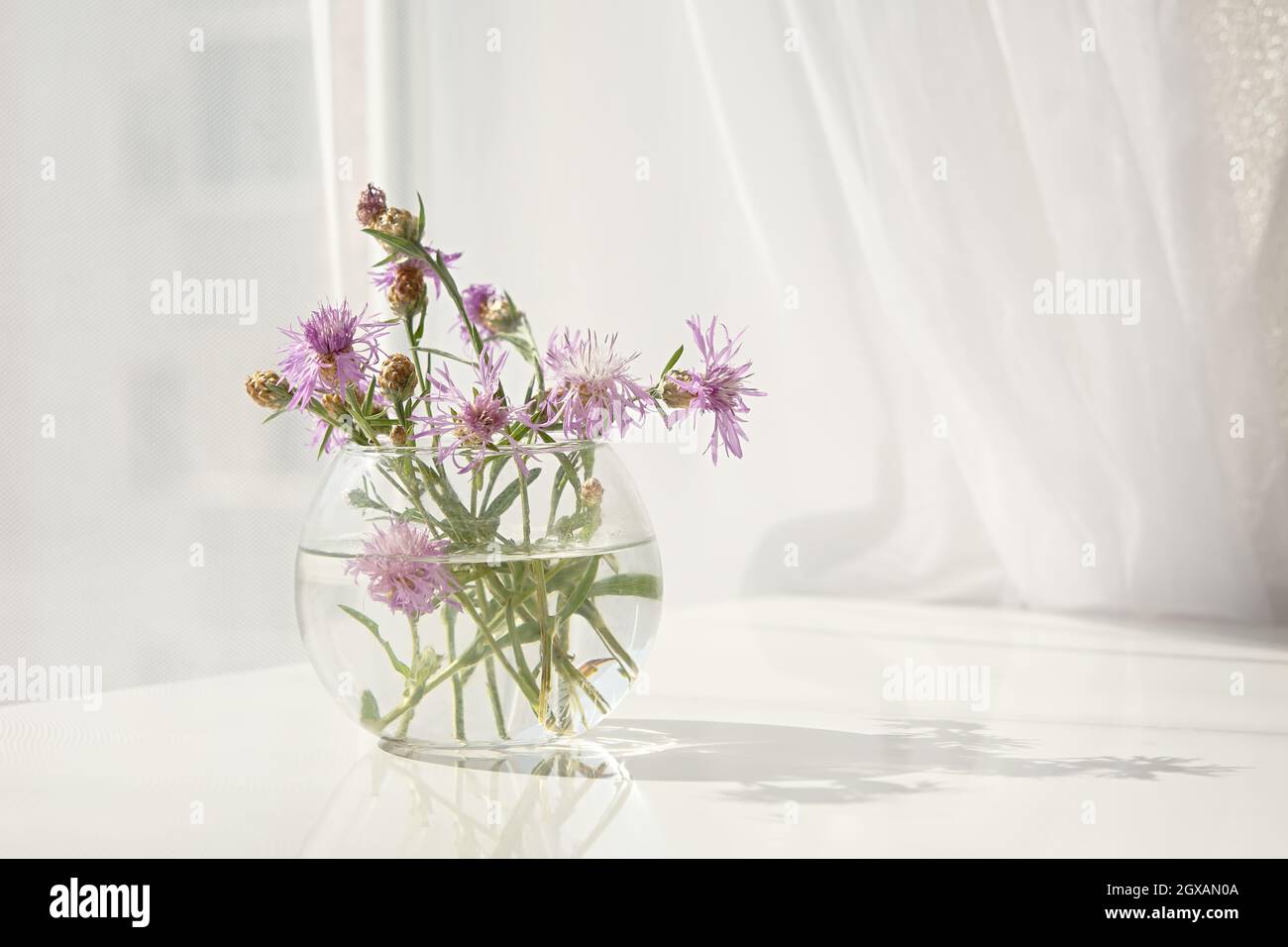 Summer wildflowers glass vase. Beautiful airy summer still life with ...