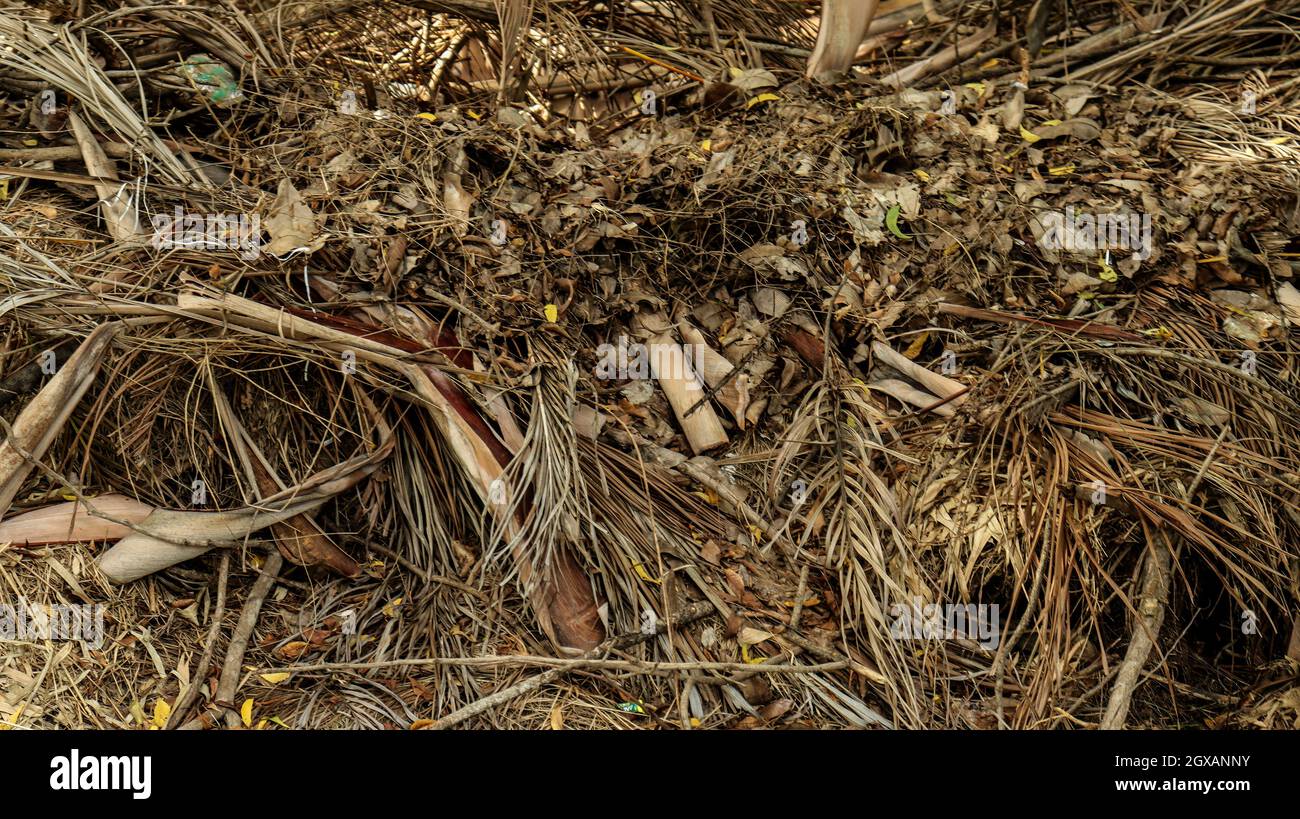 Pile of dry natural waste Stock Photo - Alamy
