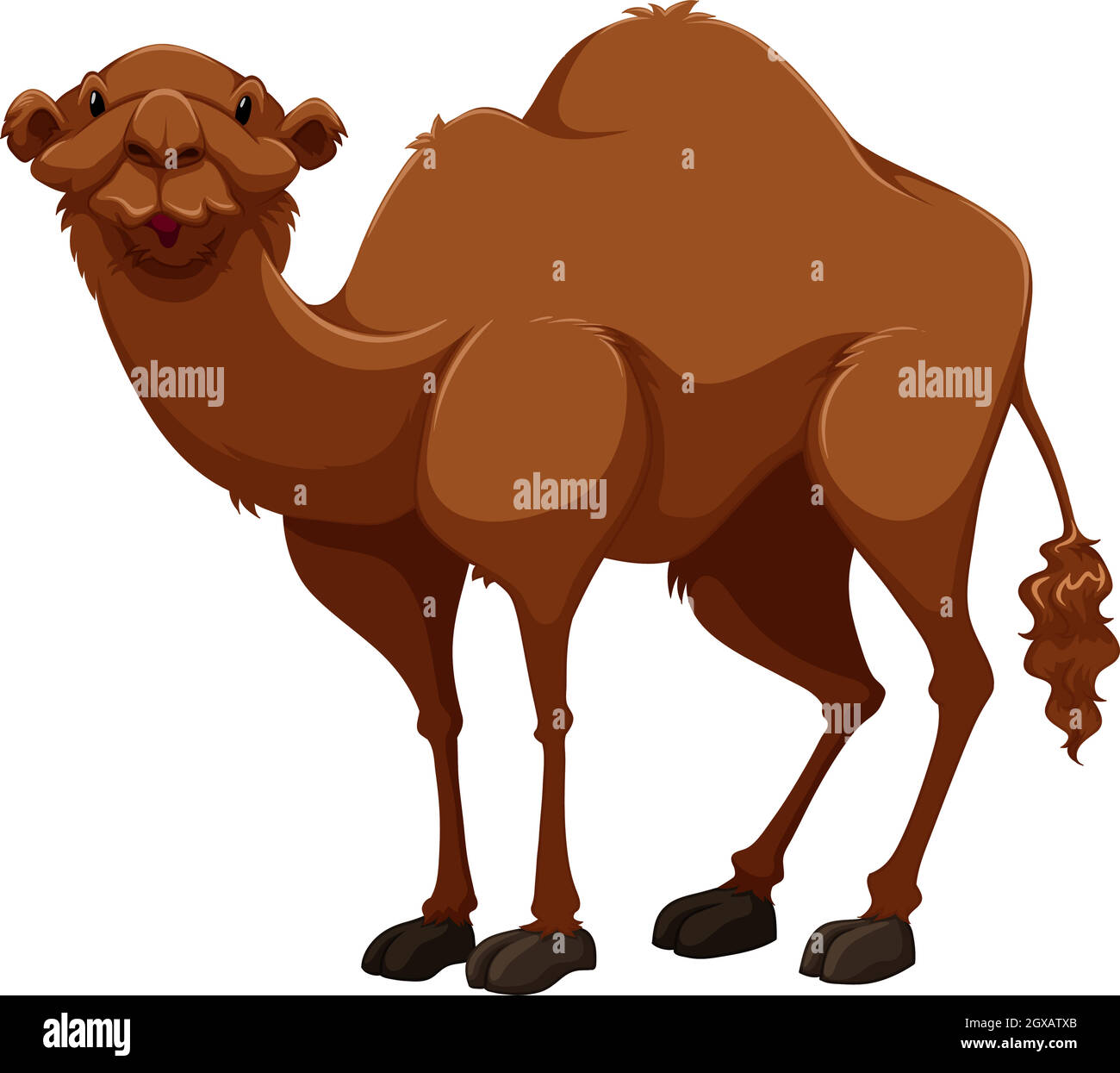 Camel close Stock Vector Images - Alamy