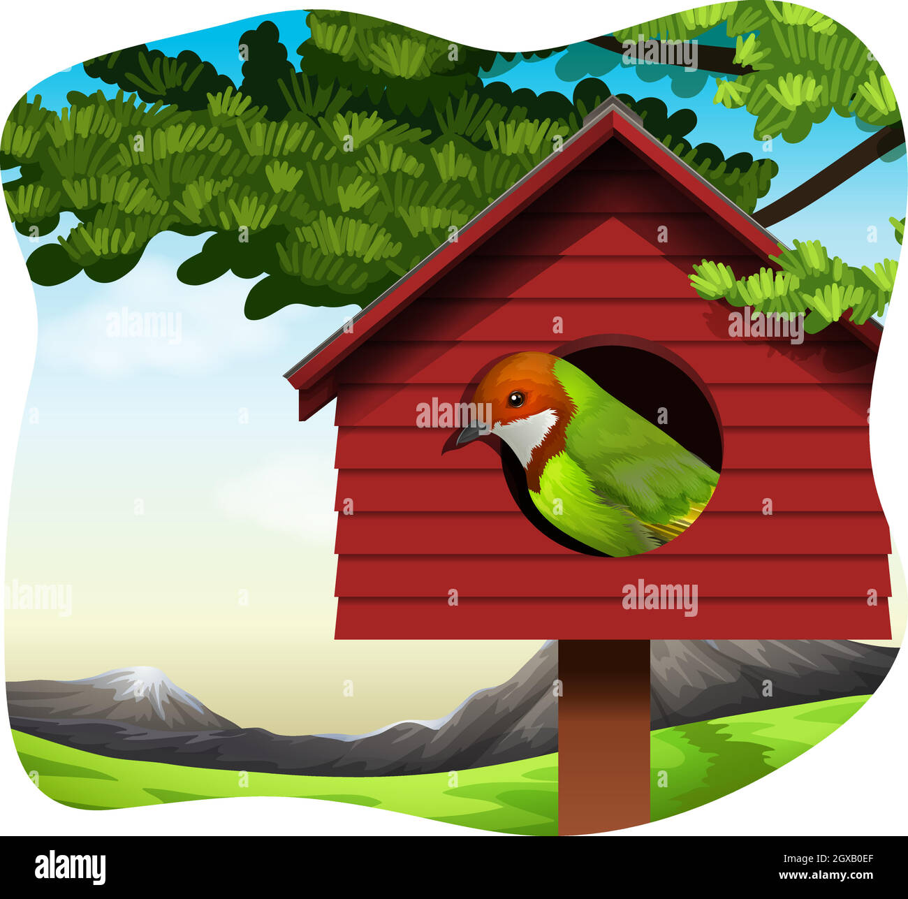 House bird wallpaper Cut Out Stock Images & Pictures - Alamy
