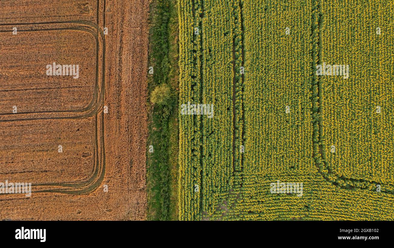 Balk hi-res stock photography and images - Alamy