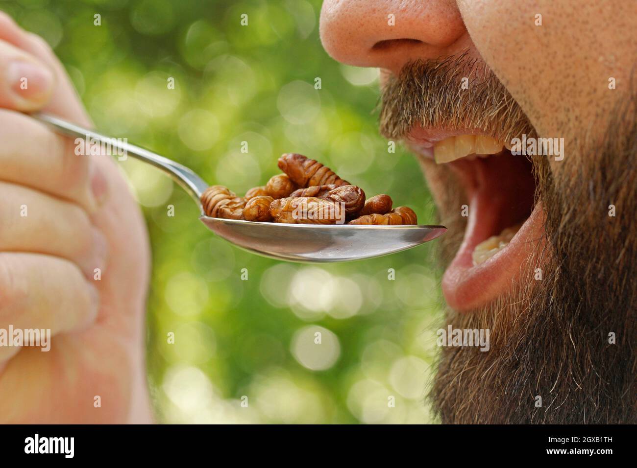 Human eating insect hi-res stock photography and images - Alamy