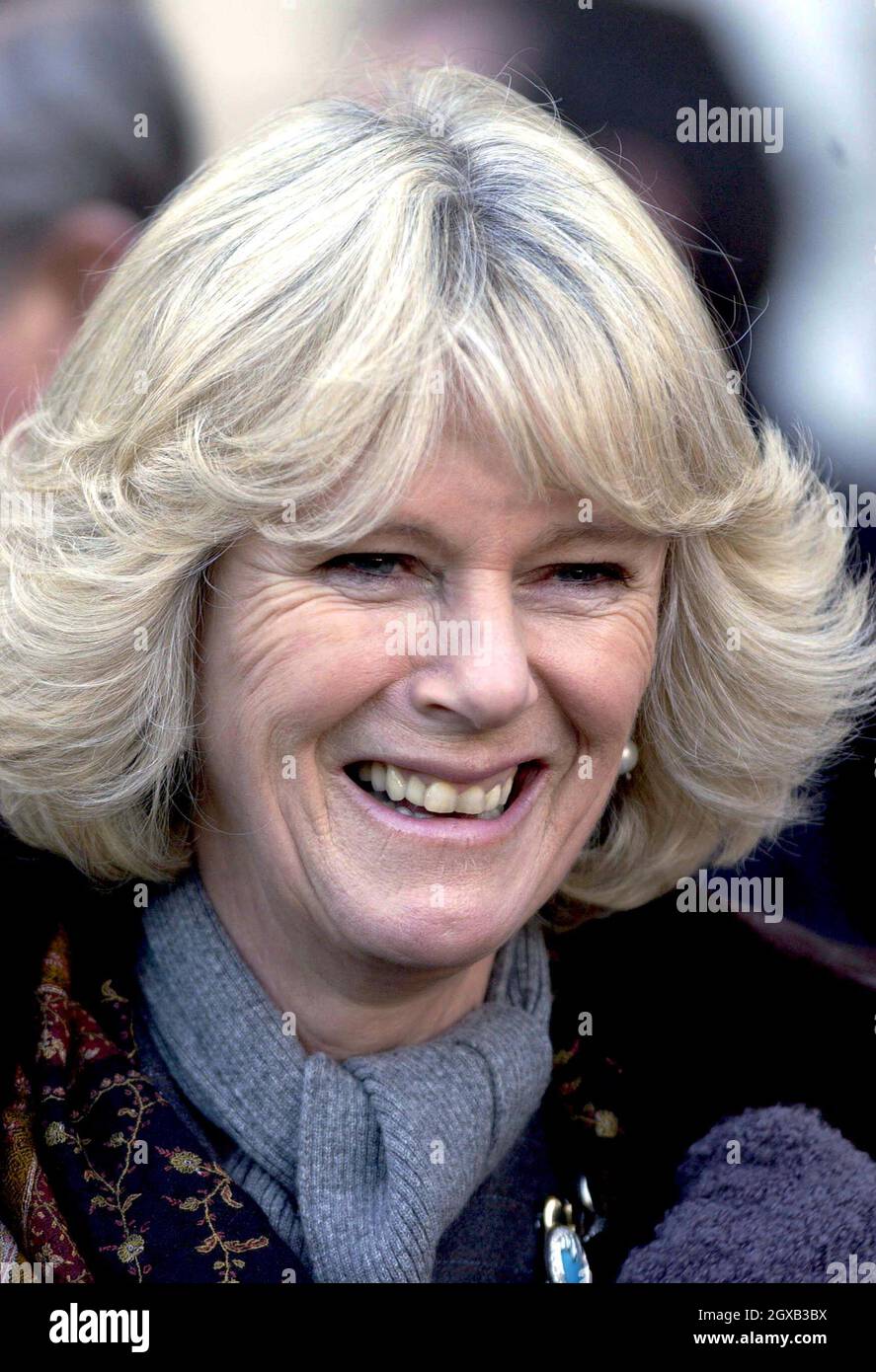 The prince of wales with wife to be camilla parker bowles hi-res stock ...